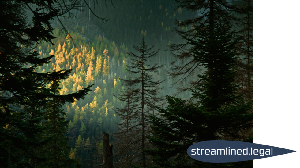 Easier Refunds for Evergreen Retainers! | streamlined.legal